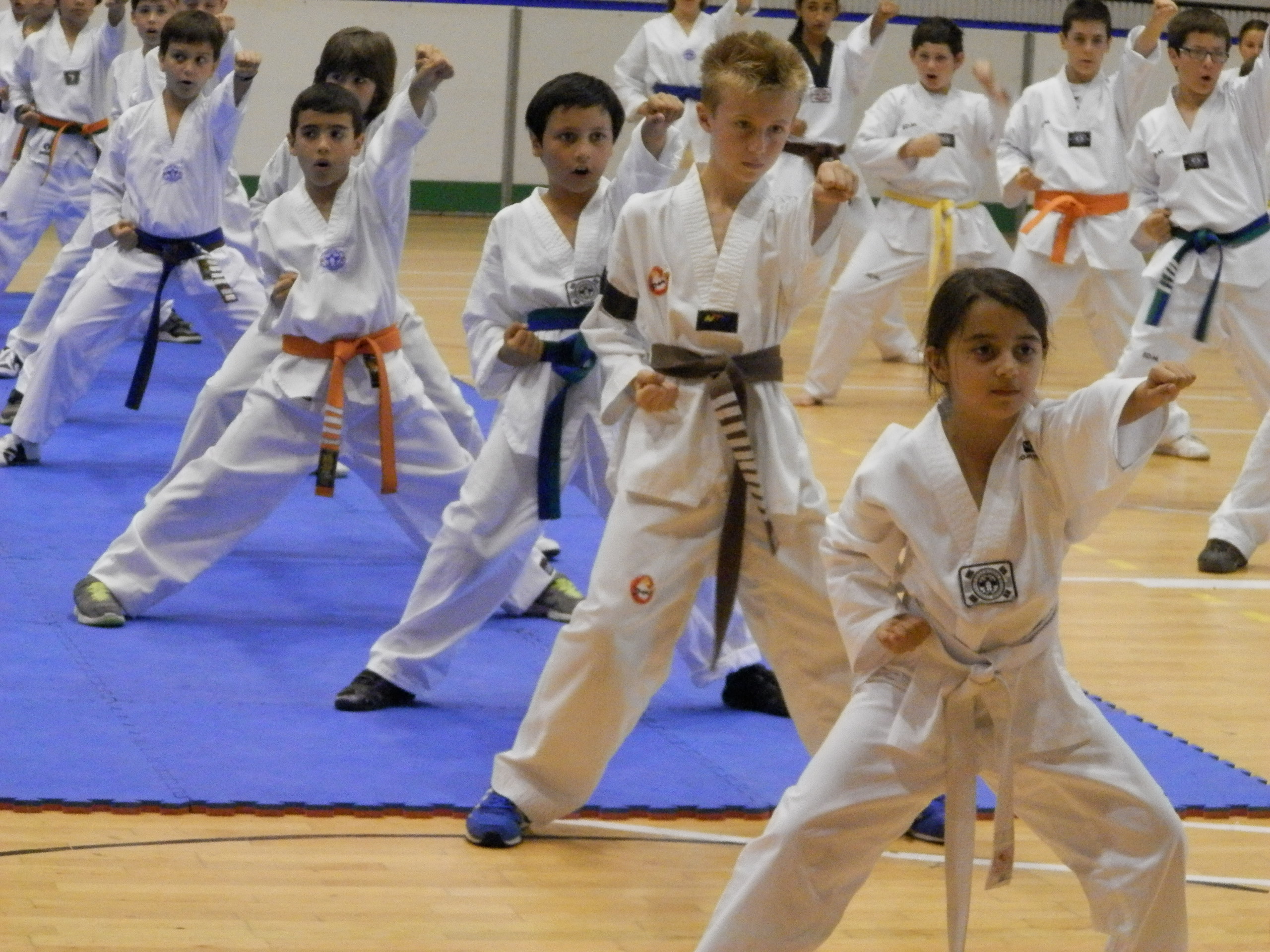 Más de 200 niños participan en una exhibición de Taekwondo en Torrevieja