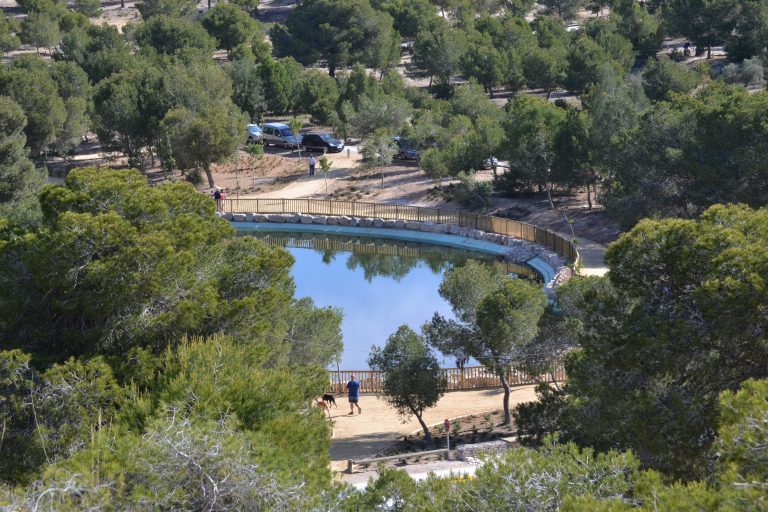 El parque de El Recorral de Rojales está siendo repoblado con más de 15 ...