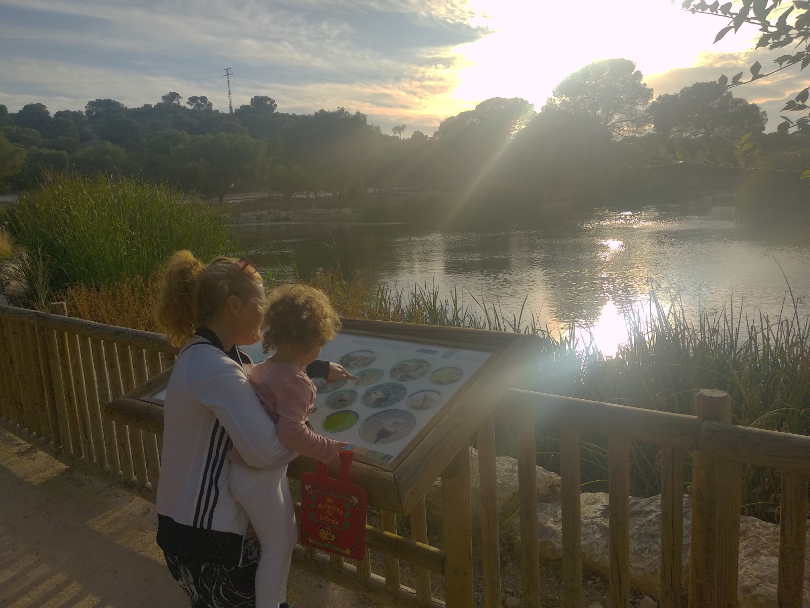 El Recorral de Rojales se convierte en un parque botánico fluvial que ...